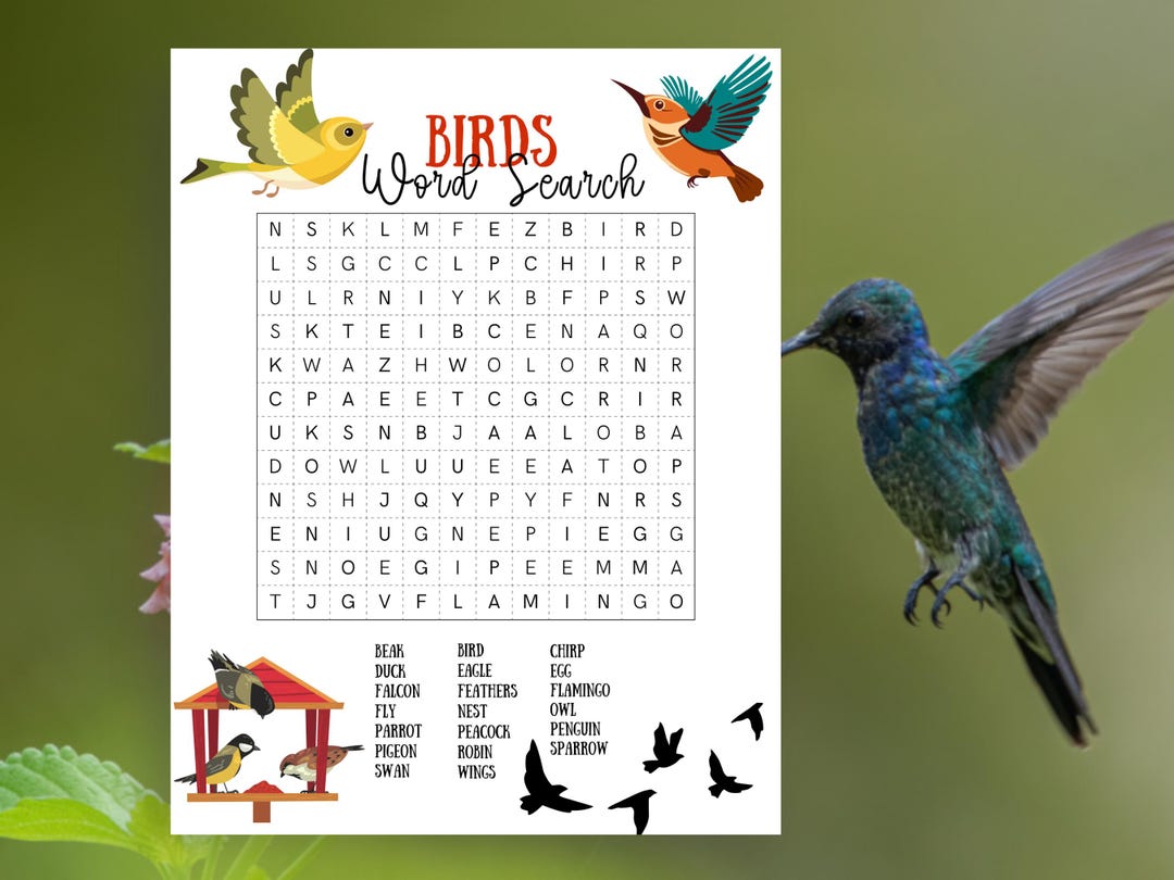Bird Word Search Puzzle: Kids' Bird Watching Game (printable PDF) - Etsy