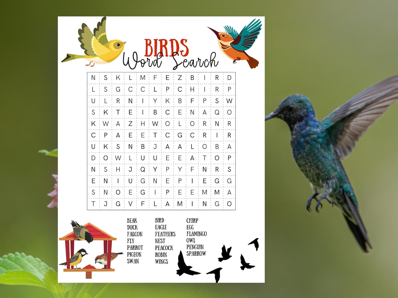 Bird Word Search Puzzle: Kids' Bird Watching Game (printable PDF) - Etsy
