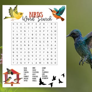 Bird Word Search Puzzle: Kids' Bird Watching Game (printable PDF) - Etsy