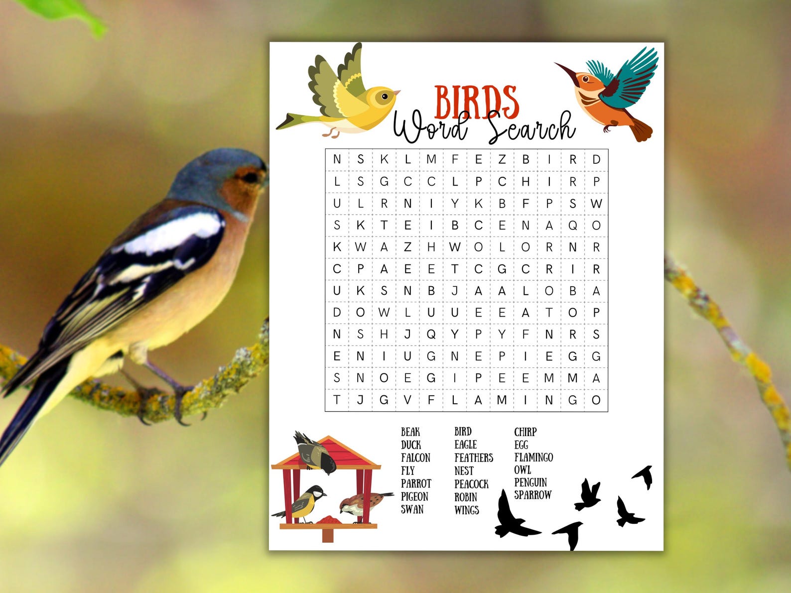 Bird Word Search Puzzle: Kids' Bird Watching Game (printable PDF) - Etsy
