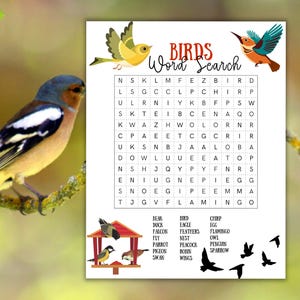 Bird Word Search Puzzle: Kids' Bird Watching Game (printable PDF) - Etsy