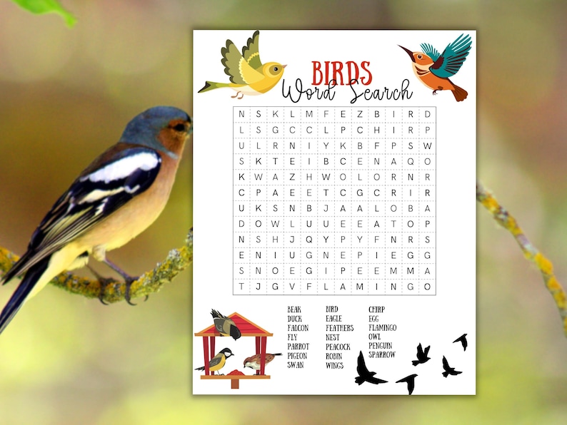 Bird Word Search Puzzle: Kids' Bird Watching Game (printable PDF) - Etsy