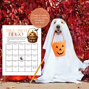 Trick-or-treat Costume Bingo Game: Halloween Party Activity (digital ...