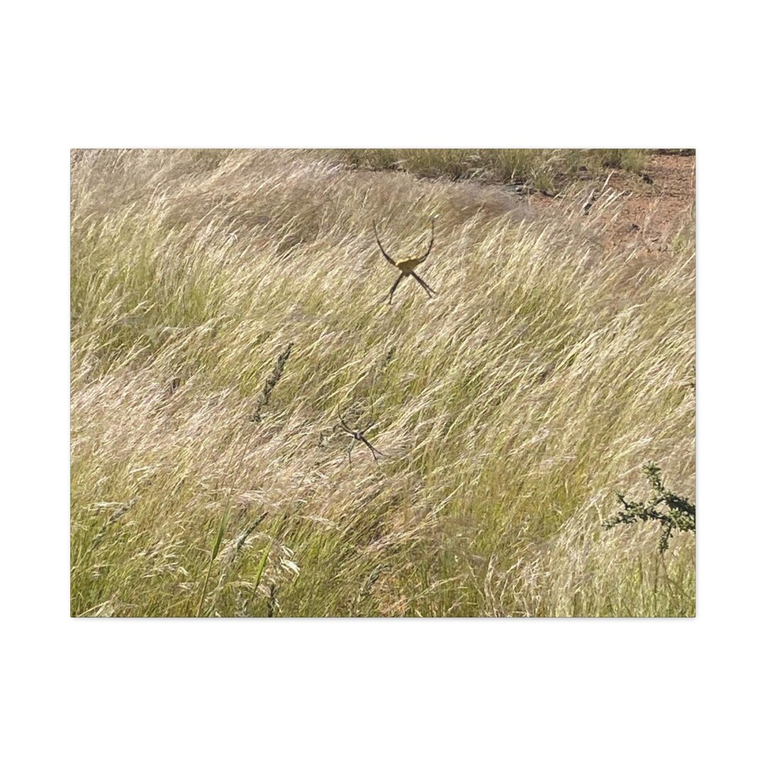 Canvas Print, Beauty of the Kalahari Flowing Grass Wall Art, African ...