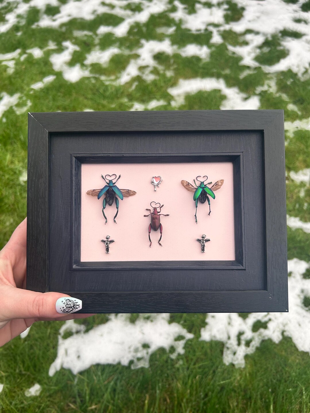 Trio of Love Bugs. Frog Legged Beetles. Cherub. Sacred Heart. Anti ...