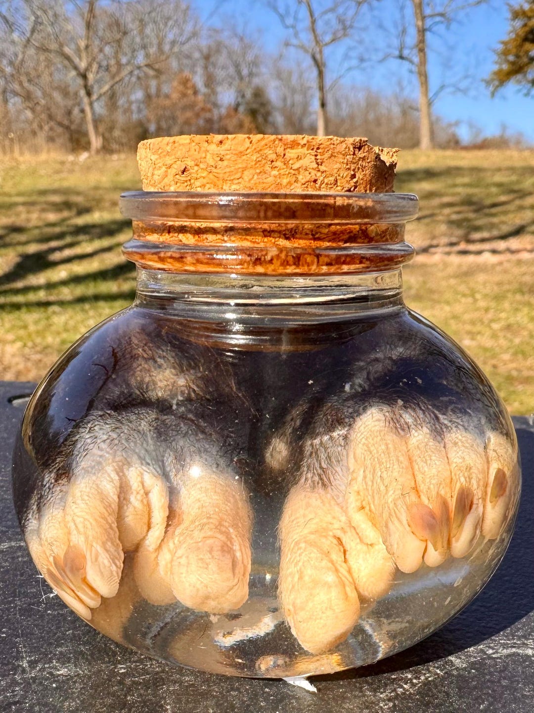 Hobbits Feet Aka Possum Feet - Etsy