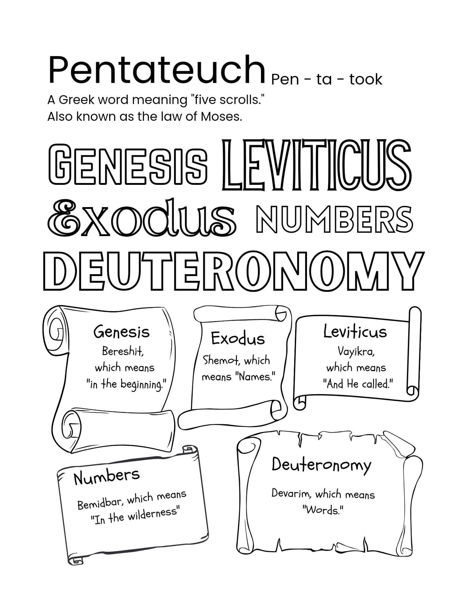 Bible Activity Worksheets for Kids, Bible Lessons, Home School Lesson ...