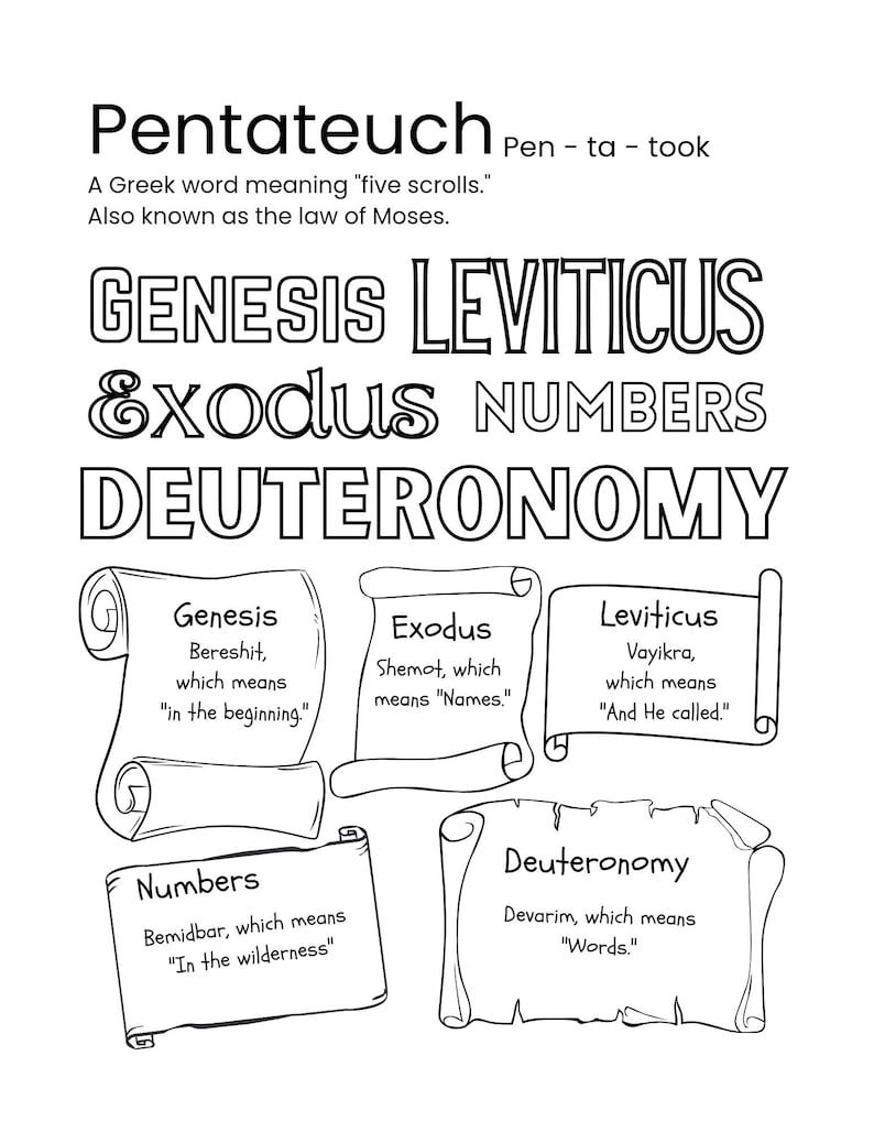 Bible Activity Worksheets for Kids, Bible Lessons, Home School Lesson ...