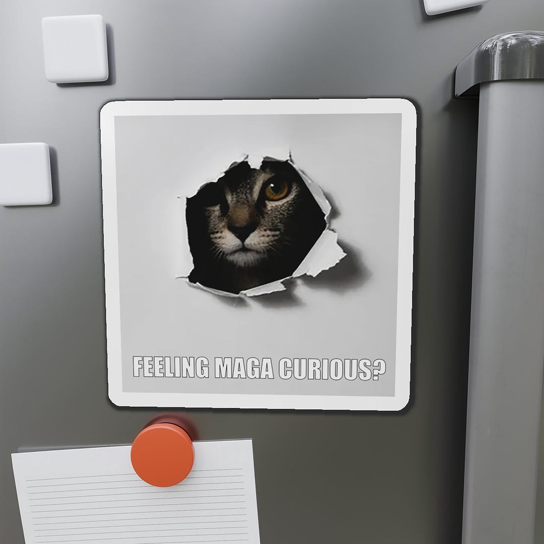 MAGA Curious Cat Meme Magnet Trump Gifts MAGA Gifts Pro America ...