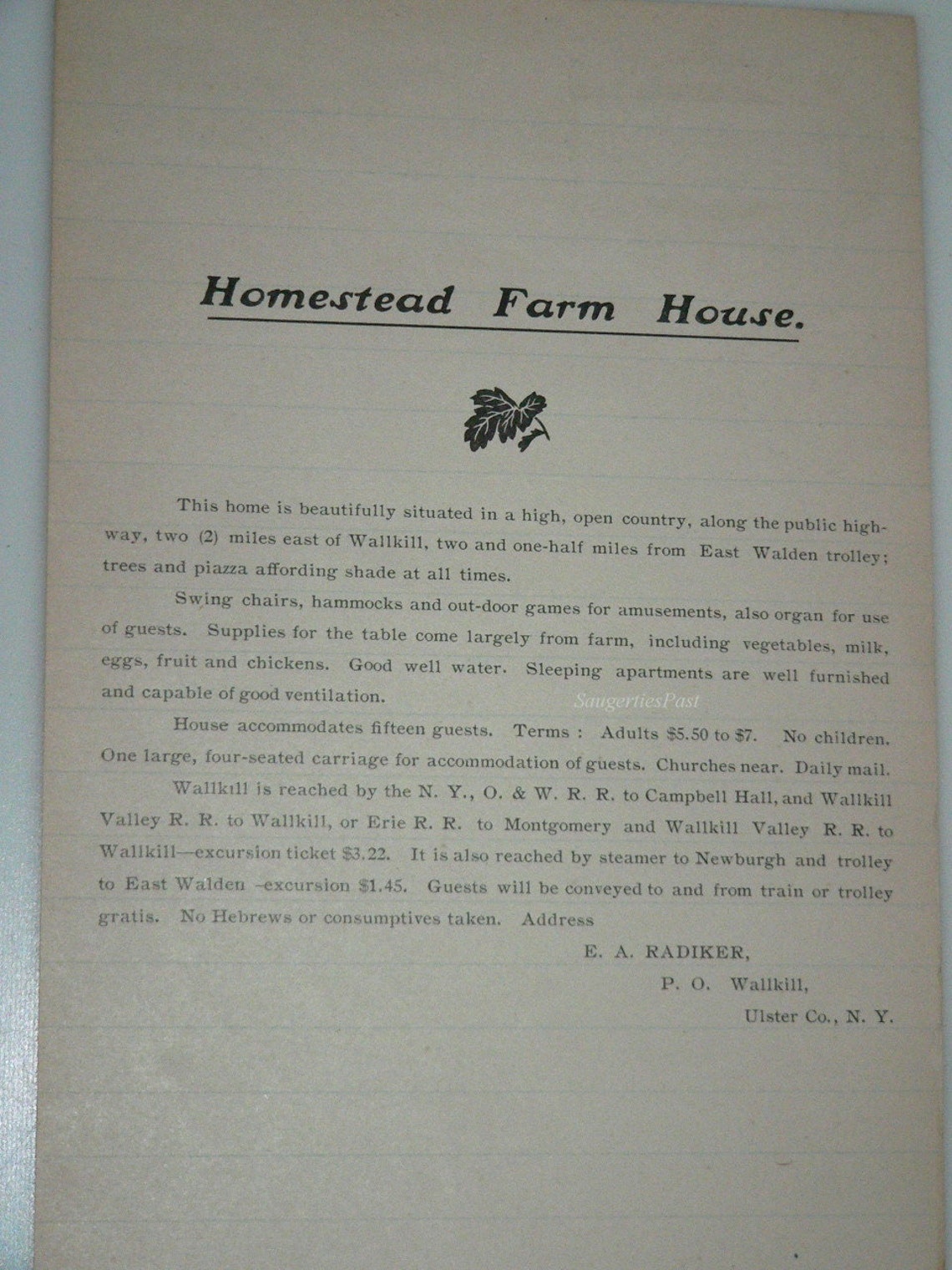 Original 1900 Homestead Farm House Unused Letter Head E. A. Radiker ...