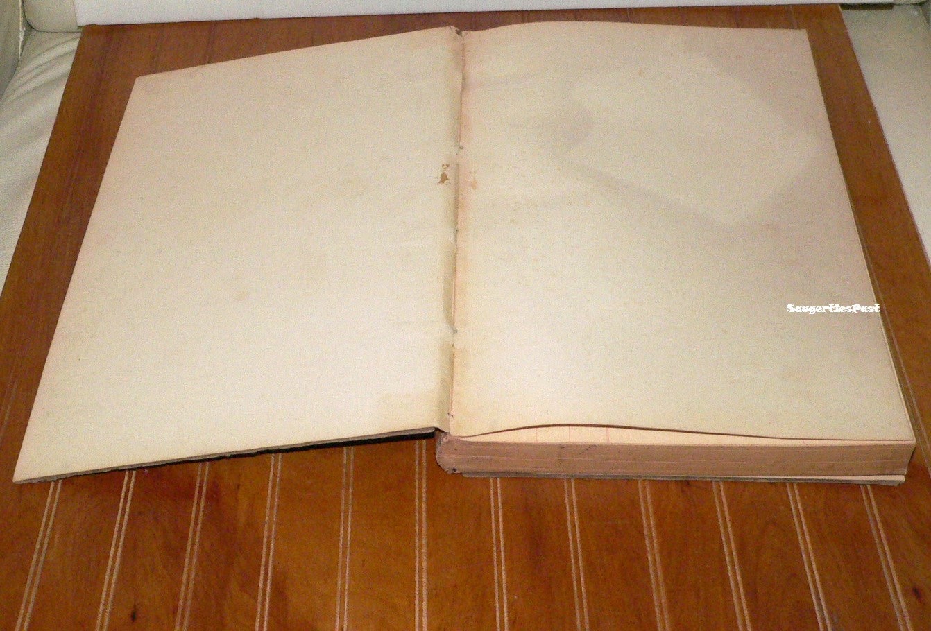 Rare Historic 1800s Hotel Register From the J.E. Lasher Mansion House ...