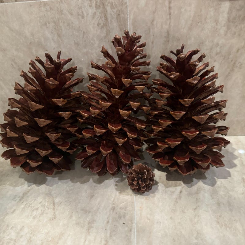 Pine Cone Decoration - Etsy