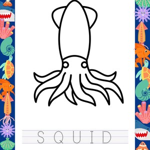 Coloring Book Aquatic Animals Animals Color Fun Writing Tracing Sea ...