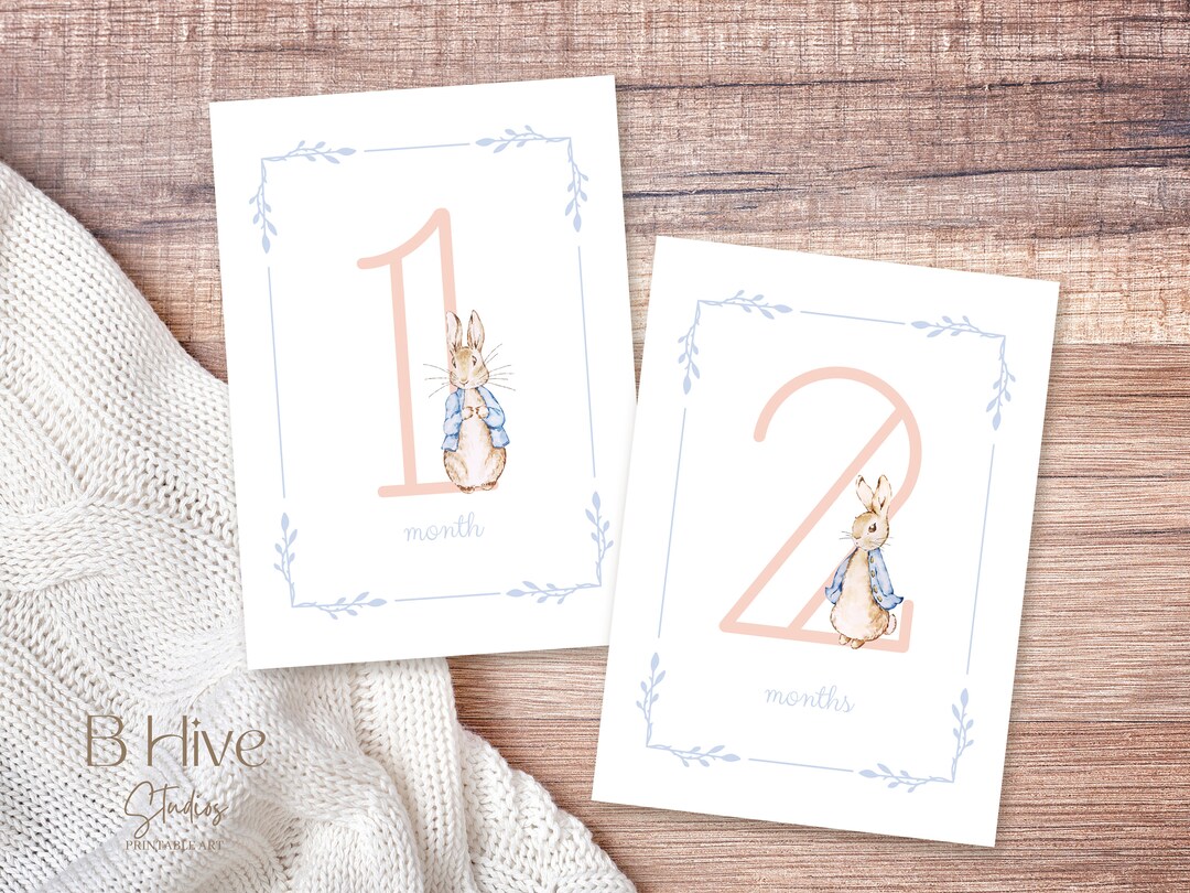 Baby Milestone Cards, Peter Rabbit, Baby Gift, New Mom Gift Ideas, Baby ...