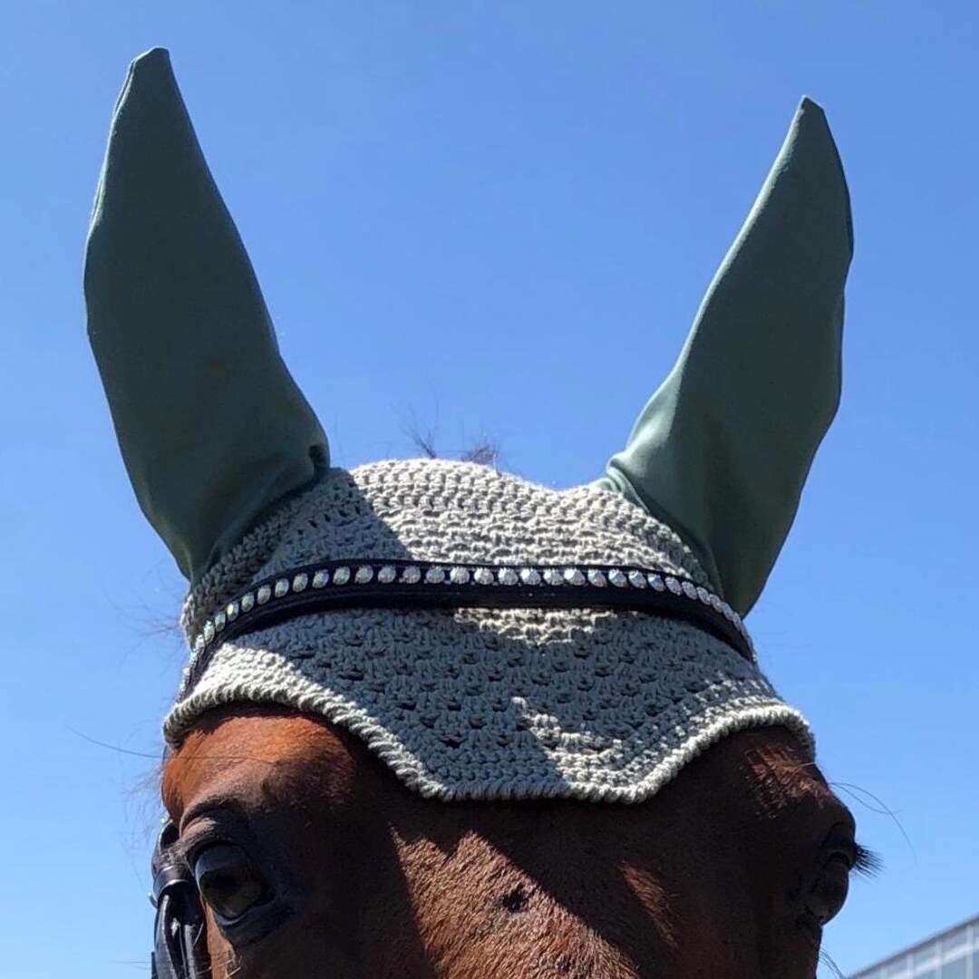 Horse Fly Bonnet (PDF File, Crochet Pattern, Incl Ear Template) - Etsy