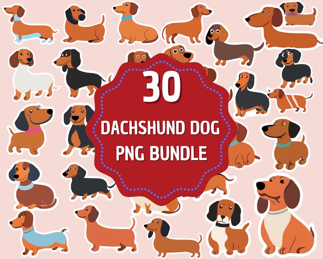 Dachshund Clipart Bundle - 30 PNG Cute Adorable Puppy Stickers, Cute ...
