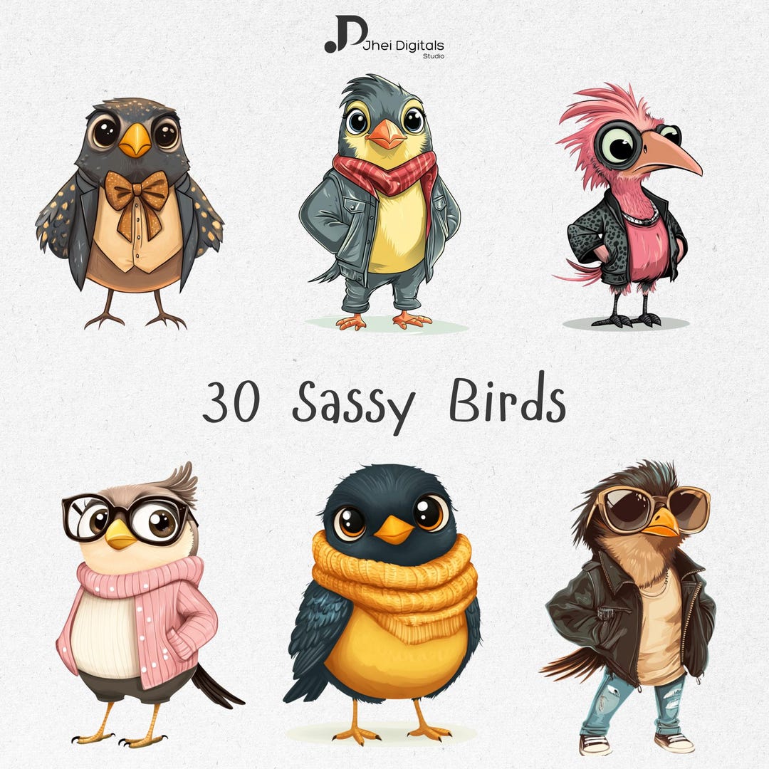 Sassy Birds Clipart Bundle, Funny Bird PNG Set, Cute Attitude Bird ...