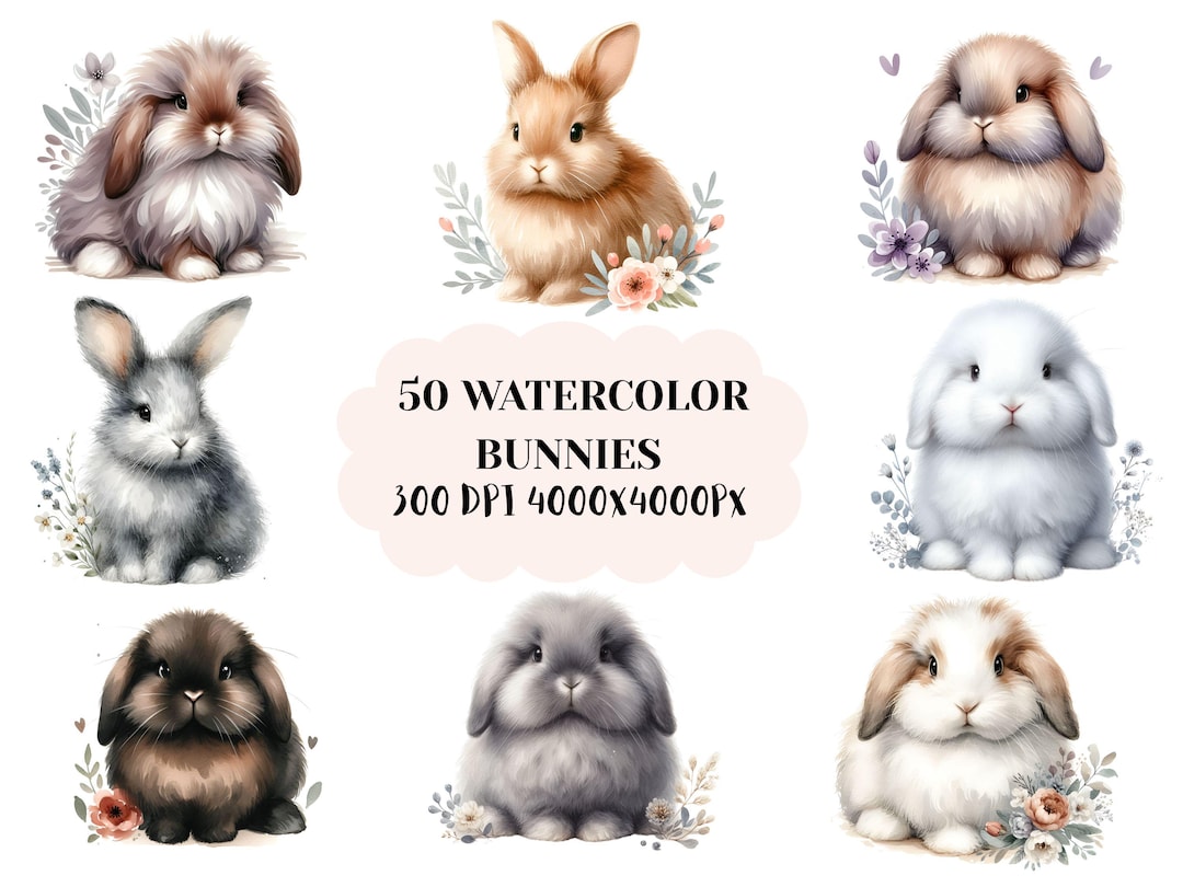 Watercolor Bunny Clipart Bundle, 50 PNG Easter Rabbits (digital ...