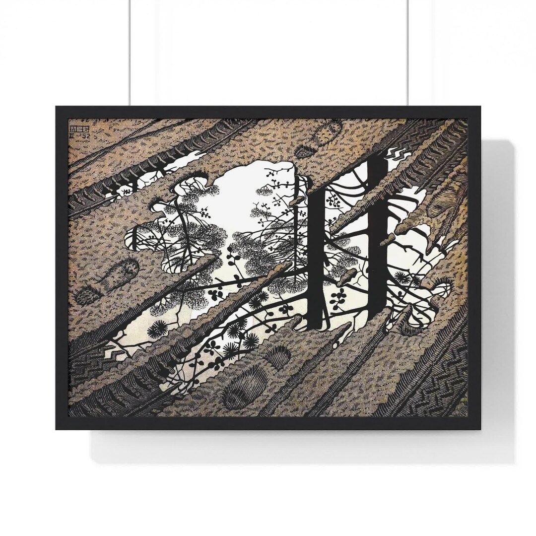 Maurits Cornelis Escher, Puddle, Premium Archival Print, Museum Grade ...