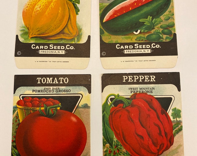 Vintage Vegetable Seed Packets Unused Card Seed Co - Etsy