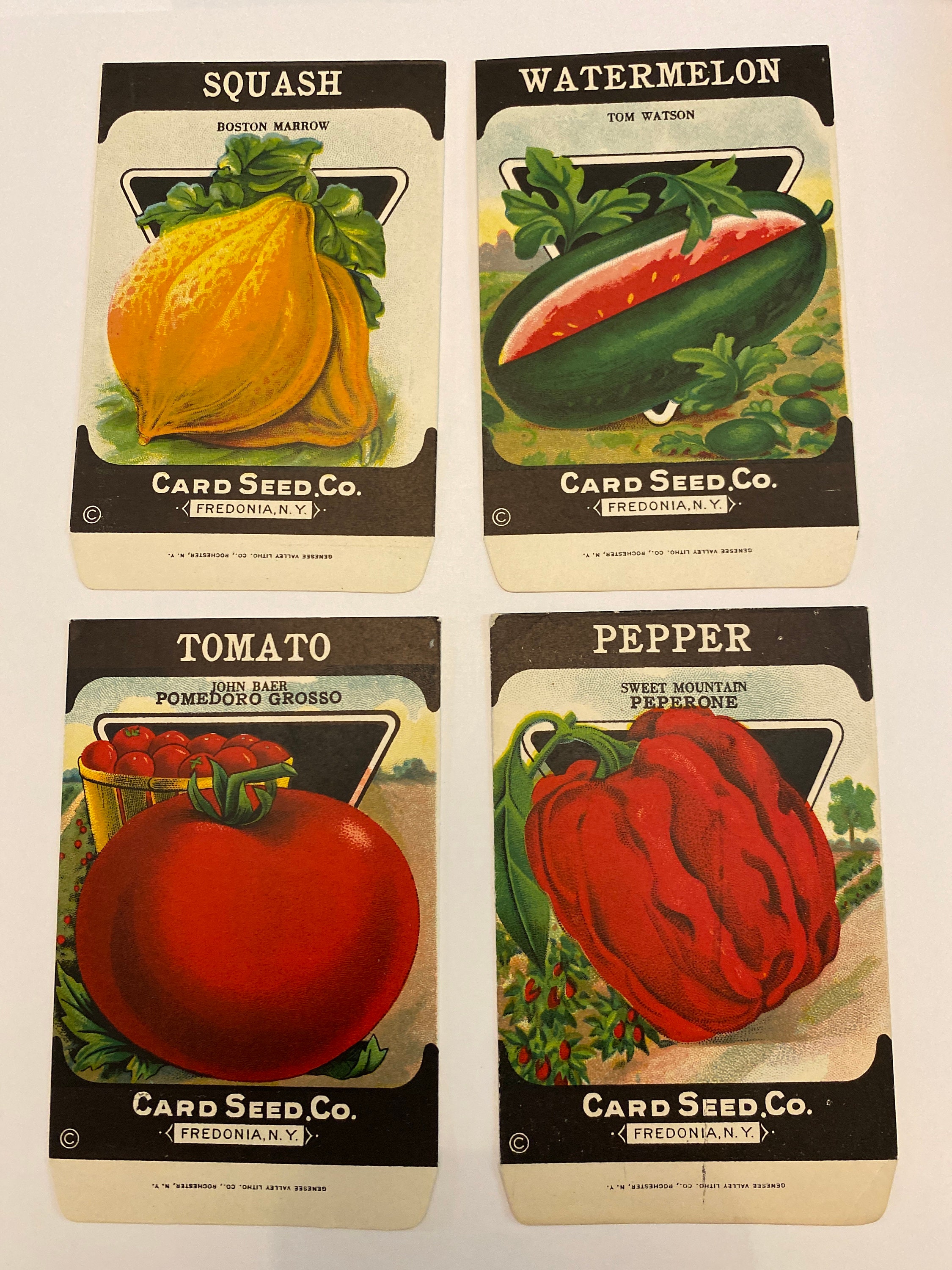 Vintage Vegetable Seed Packets Unused Card Seed Co - Etsy