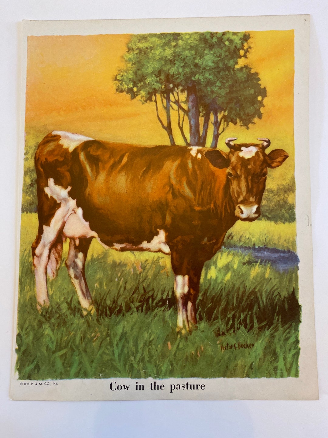 Cow in the Pasture A Vintage Storybook Illustration by Victor Becker ...