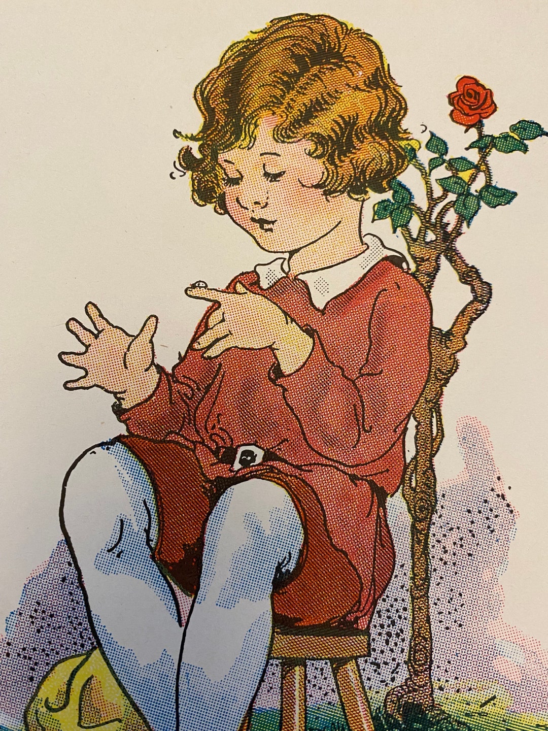 Ladybird Ladybird Fly Away Home - A Eulalie Vintage Book Page ...
