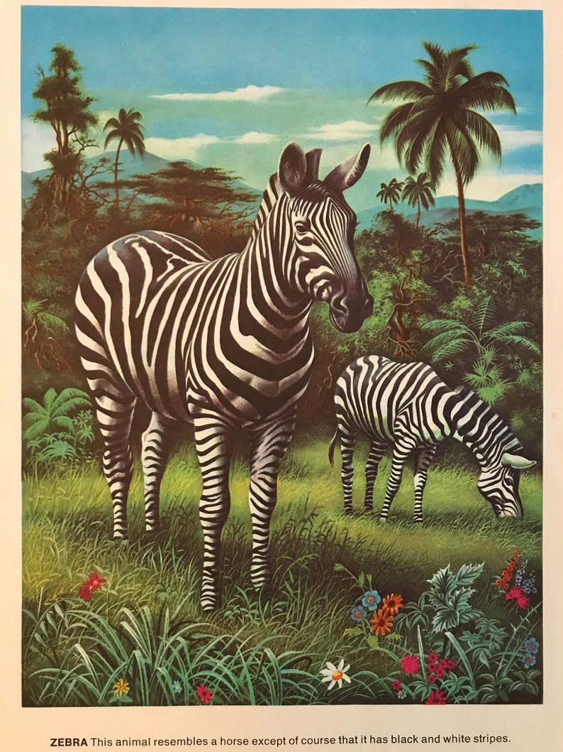 Vintage 1970s Jungle Animal Prints, Set of 3, Children's Room Decor - Etsy