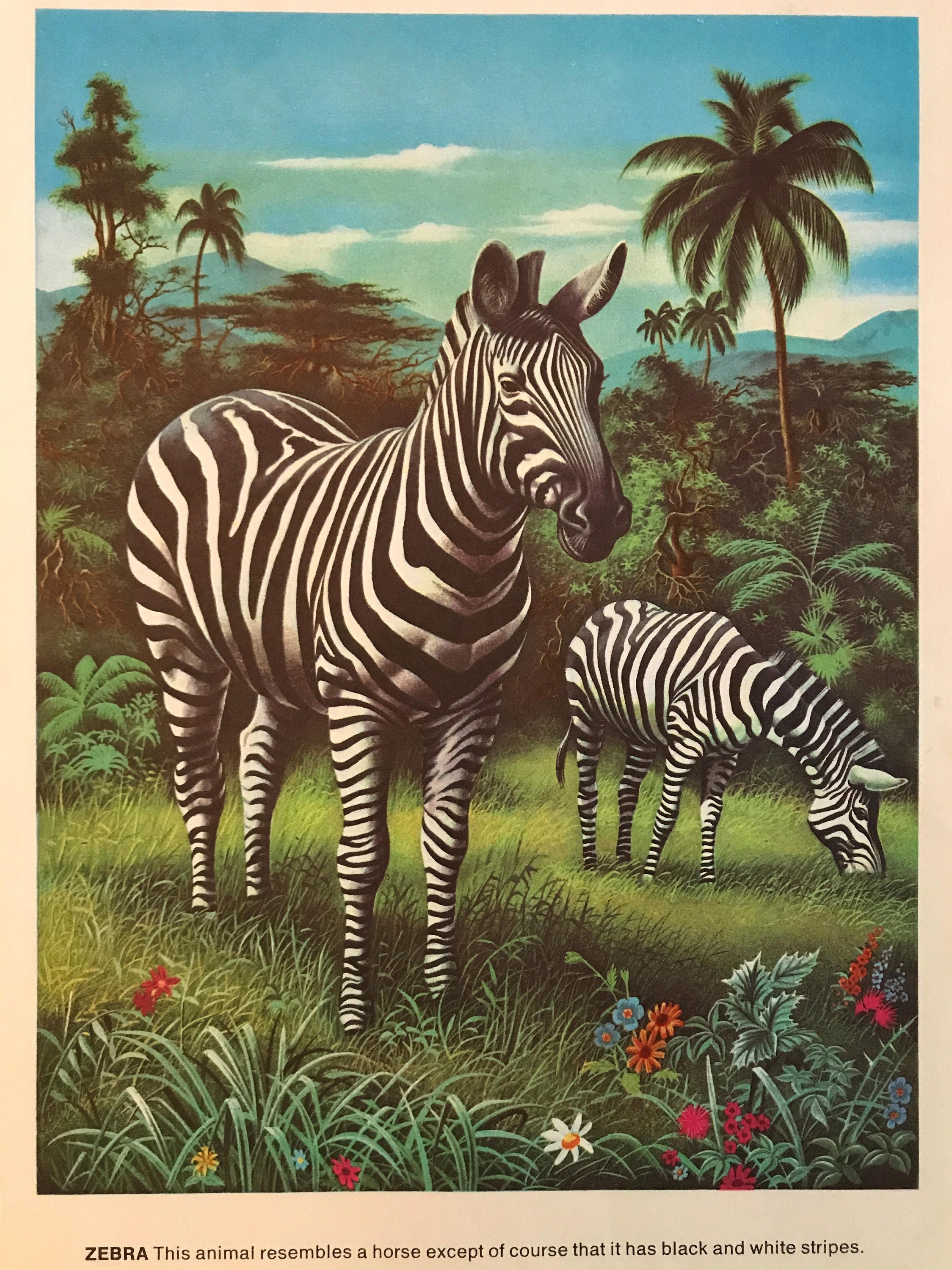Vintage 1970s Jungle Animal Prints, Set of 3, Children's Room Decor - Etsy