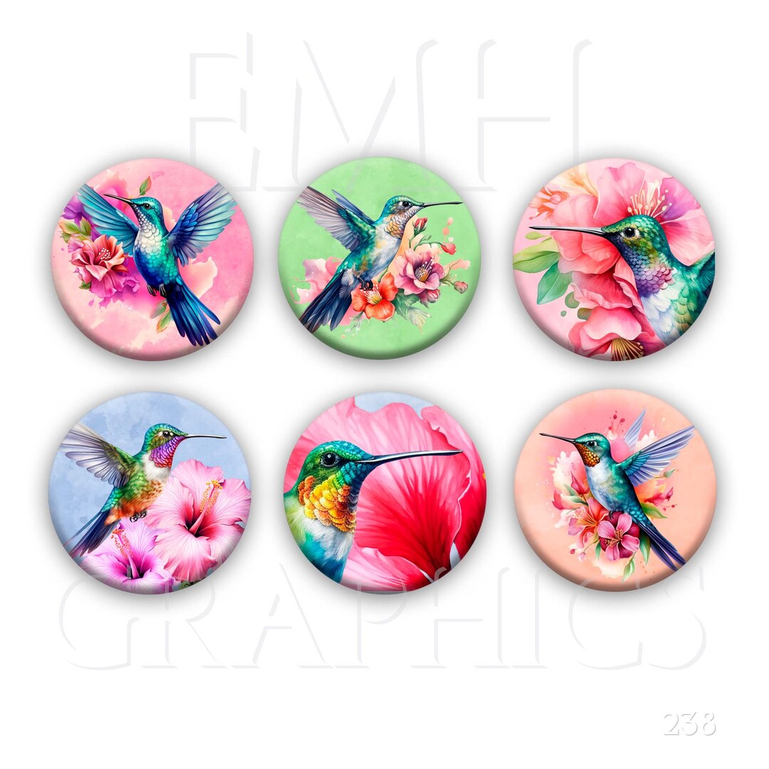Hummingbird Magnets, 1.5 Inches, Set of Six Magnets for Fridge ...