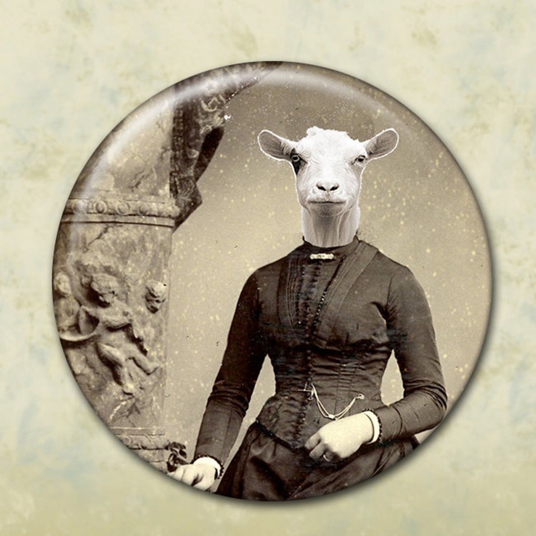 Novelty Pocket Mirror, Goat, Vintage Photo - Etsy