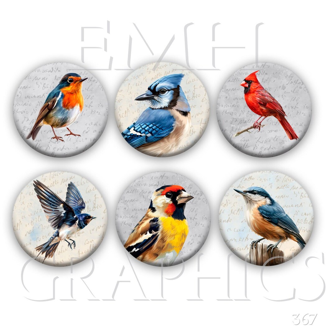 Bird Fridge Magnets, Pretty Birds Refrigerator Magnets, 1.5", Set of ...
