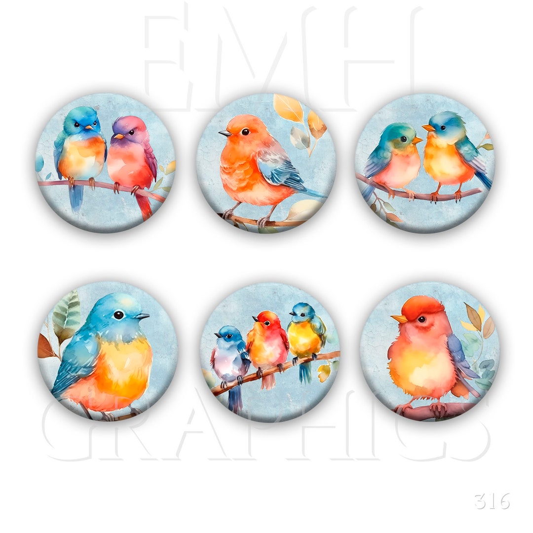 Colorful Bird Magnets, Kitchen Magnets, 1.5 Inches, Refrigerator Art ...