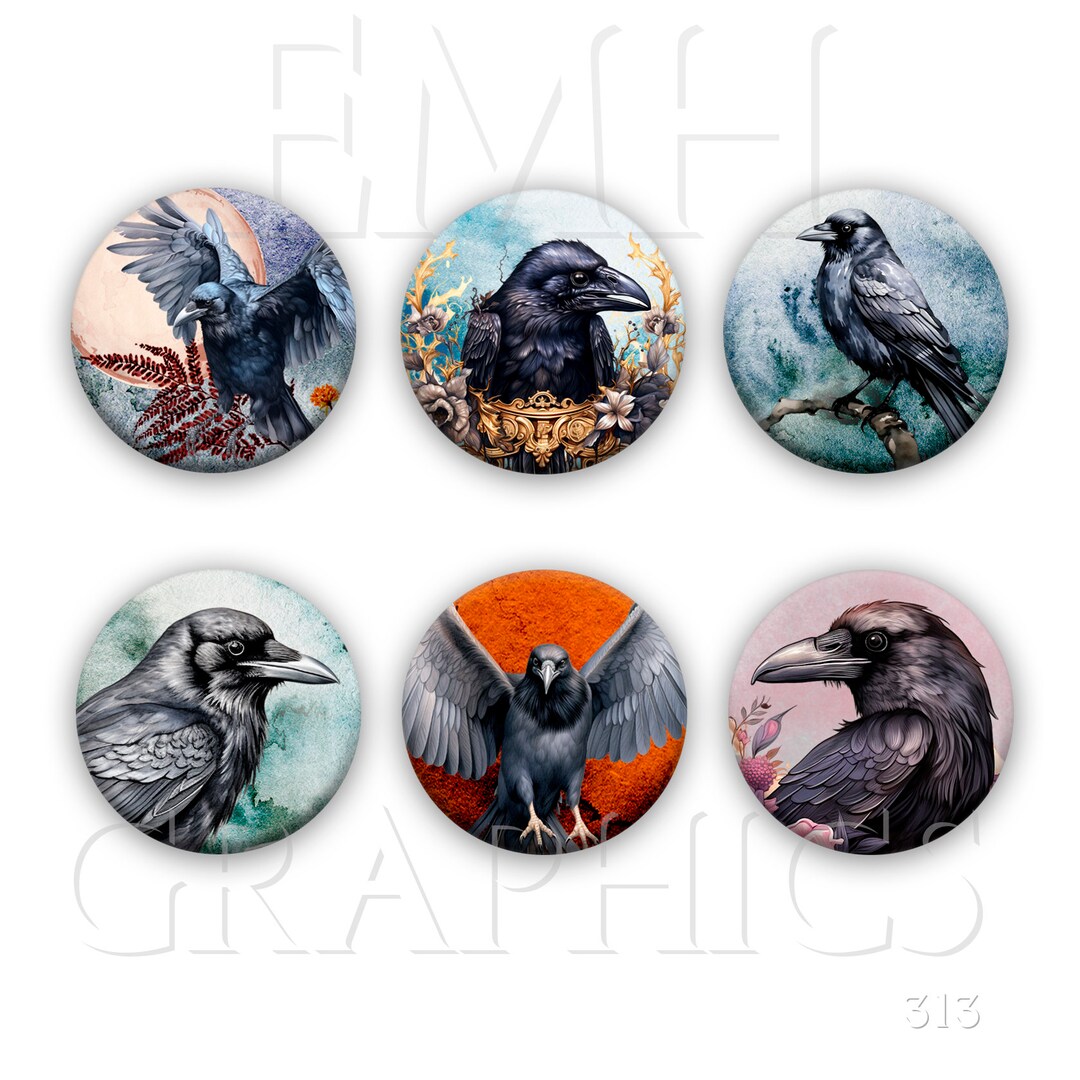 Black Crow Kitchen Magnets, Raven Birds Fridge Magnets, Set of Six, 1.5 ...