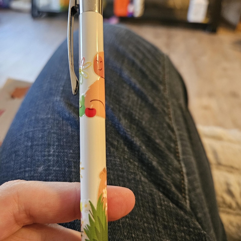 Capybara Pens - Etsy