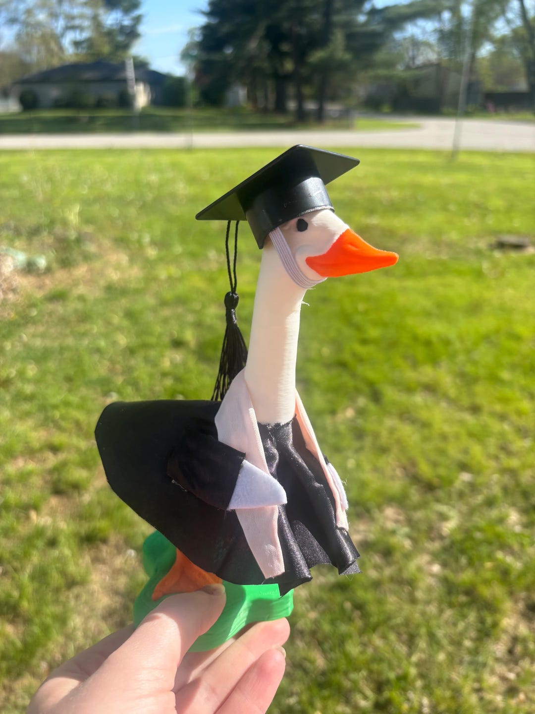 Silly Goose University Graduation Dress - Etsy