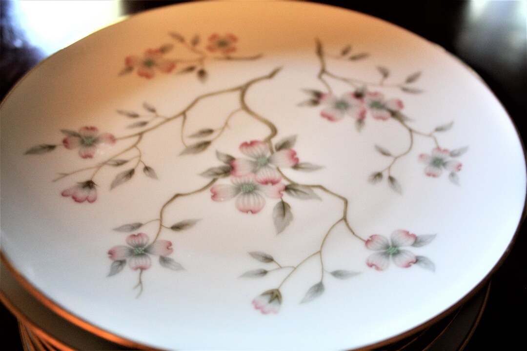 Noritake China, Clearview by Rose, Breakfast Plate, Dinner Plate ...