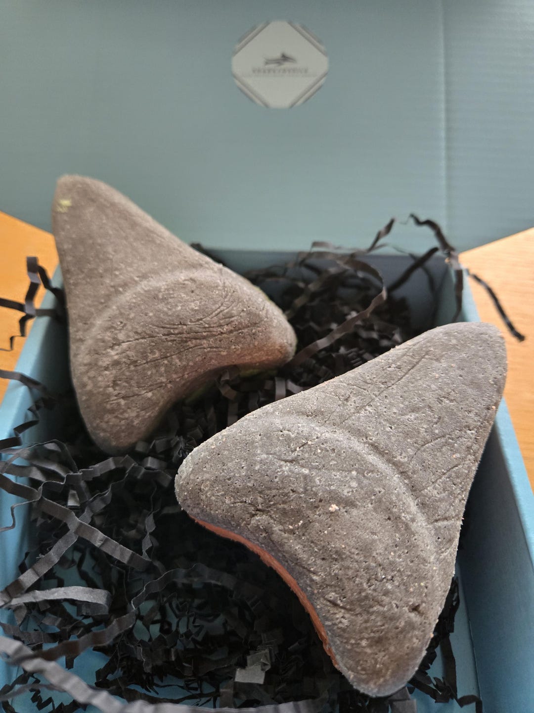 Shark Teeth in Bath Bombs, Island Breeze Scented Handmade, Set of 2 ...