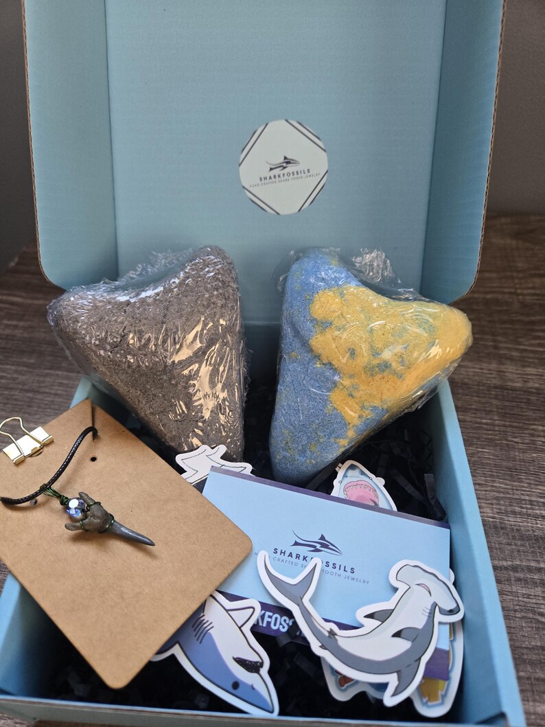 Shark Gift Box Unique Hand Crafted Sharks Tooth Reveal. Includes ...