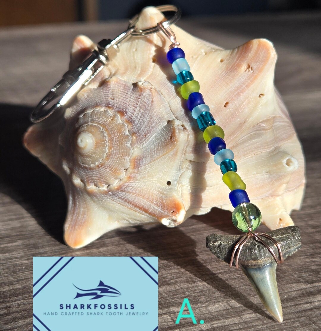 Fossilized Shark Tooth Keychain: Southwest Florida Ocean Gift - Etsy