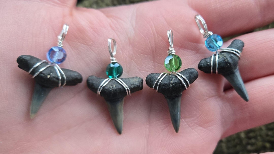 Shark Tooth Necklace - Classic and Trendy. Lemon Shark Teeth. Real ...