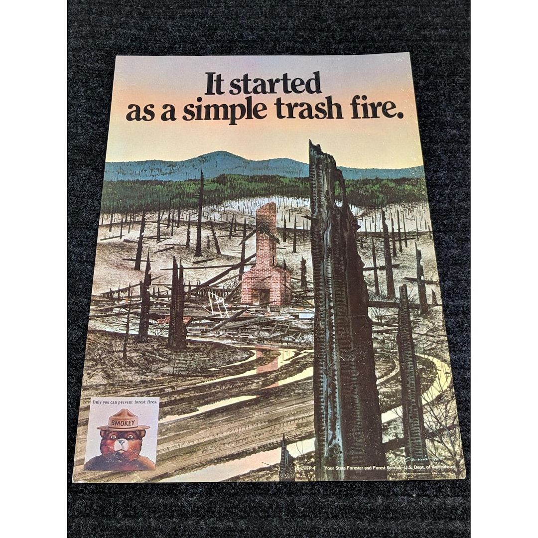 Vintage 1969 Smokey Bear Forest Fire Poster Only You Prevent Trash ...