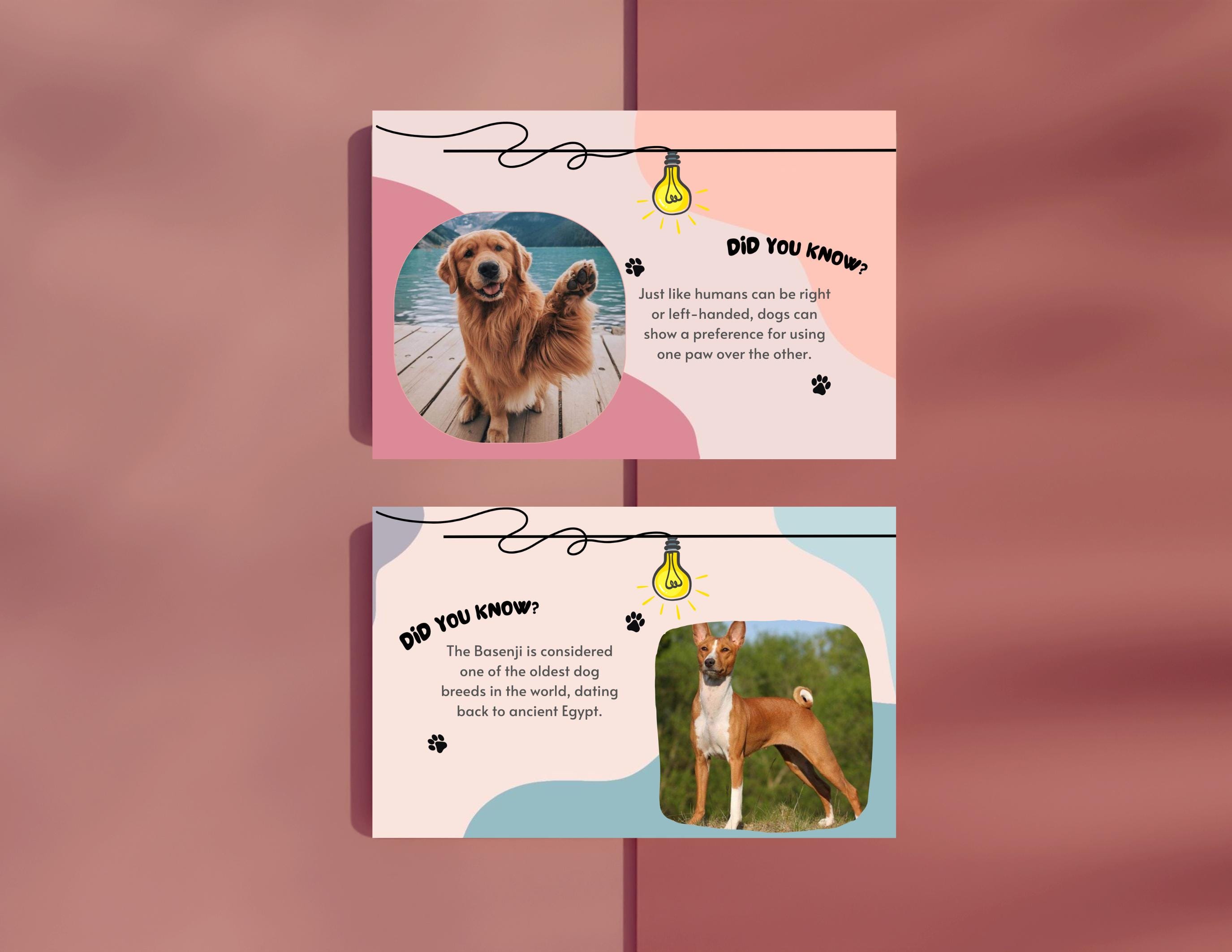 Editable Fun Facts About Dogs, Fun Facts Template in Canva ...