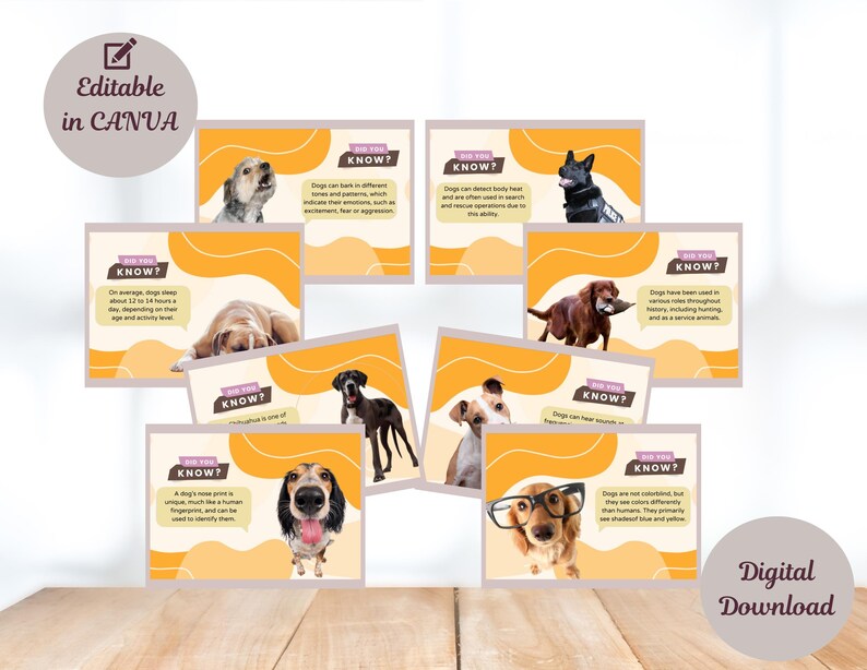 Editable Fun Facts About Dogs, Fun Facts Template in Canva ...