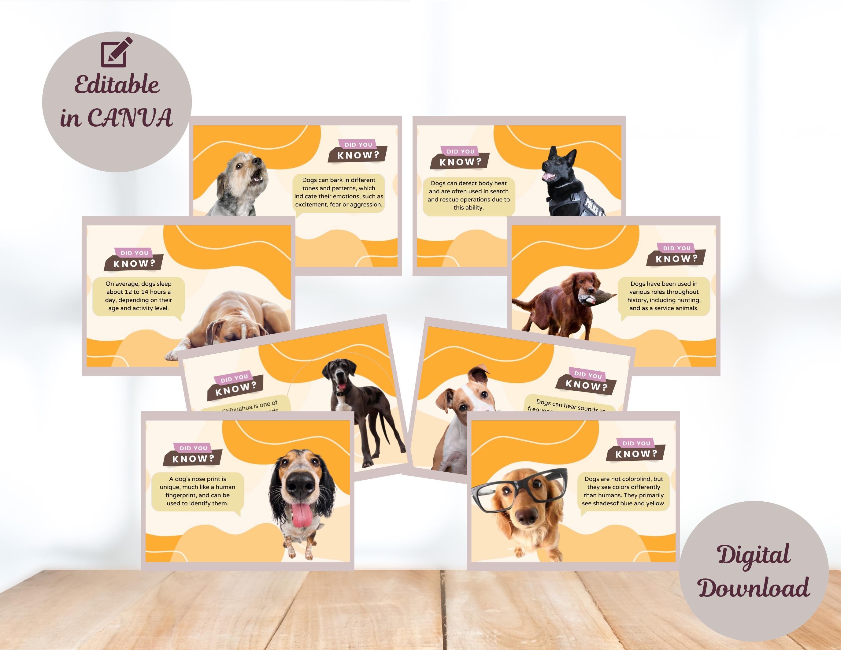 Editable Fun Facts About Dogs, Fun Facts Template in Canva ...