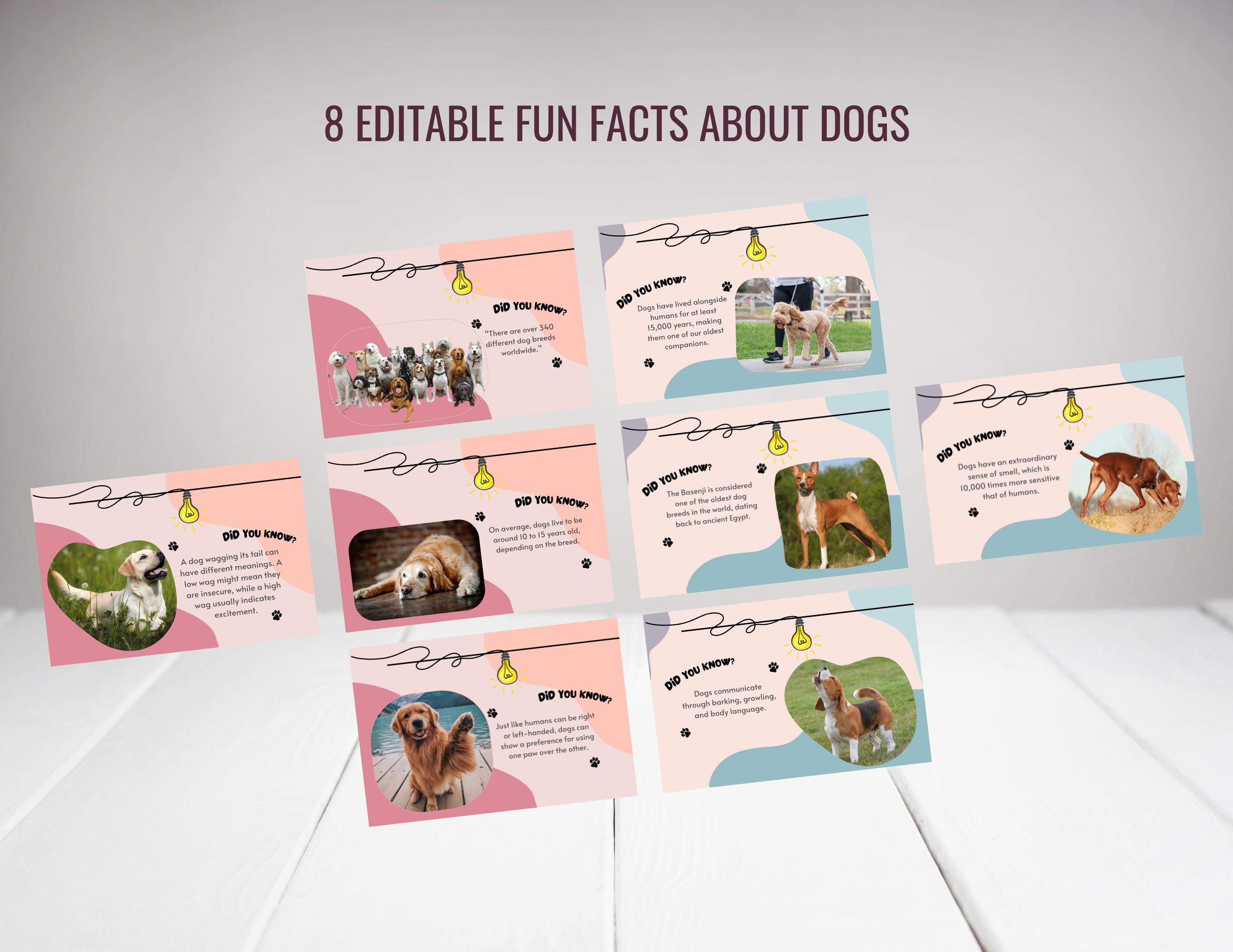 Editable Fun Facts About Dogs, Fun Facts Template in Canva ...