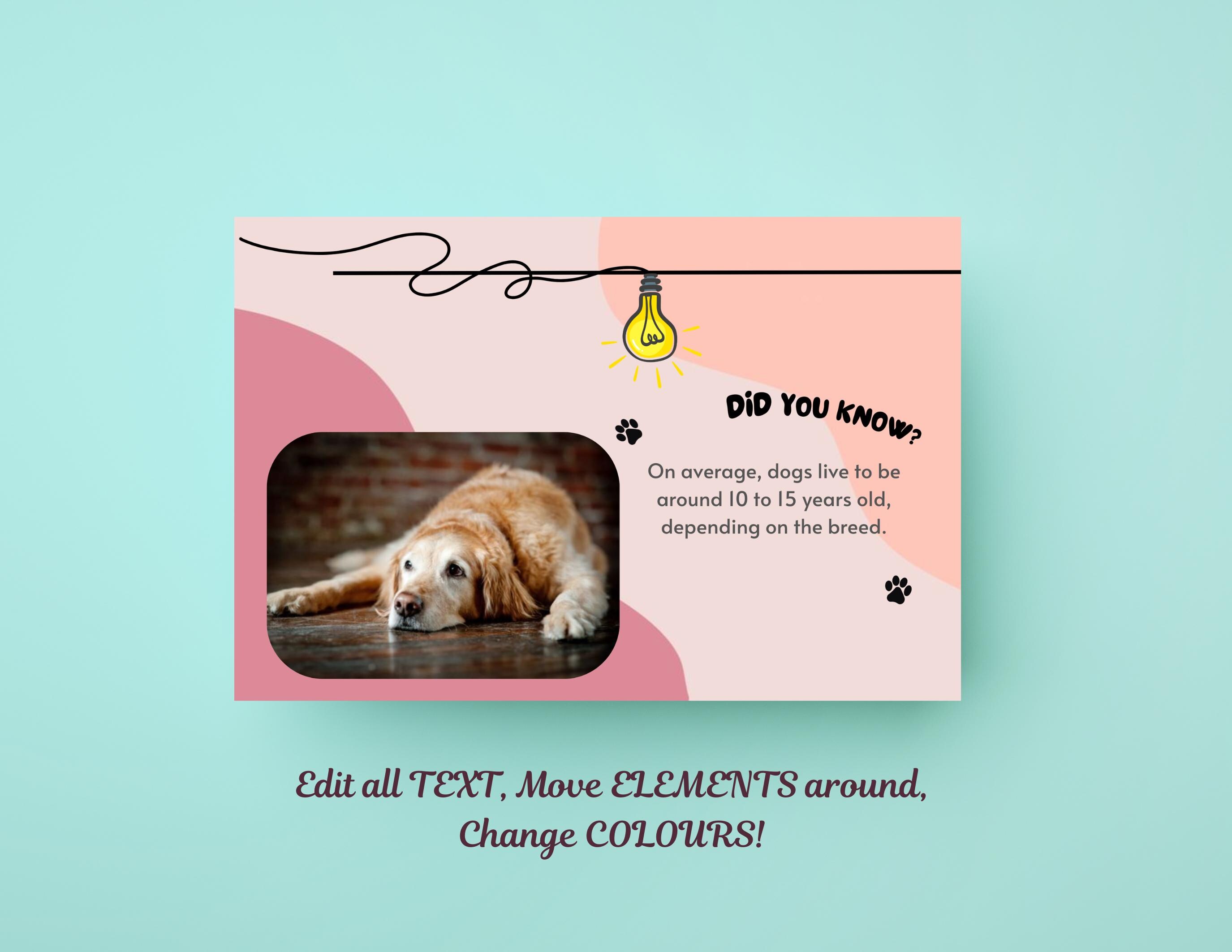 Editable Fun Facts About Dogs, Fun Facts Template in Canva ...