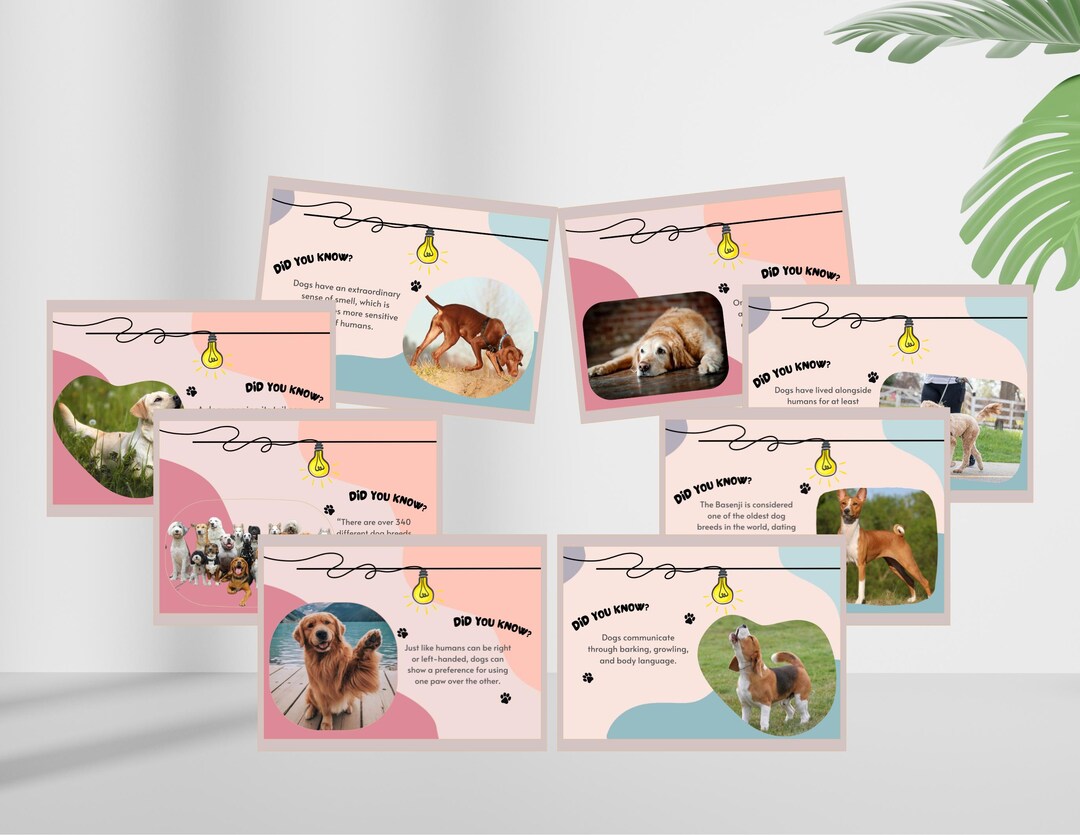 Editable Fun Facts About Dogs, Fun Facts Template in Canva ...