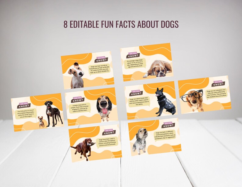 Editable Fun Facts About Dogs, Fun Facts Template in Canva ...