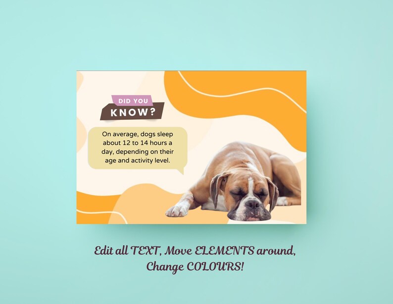 Editable Fun Facts About Dogs, Fun Facts Template in Canva ...